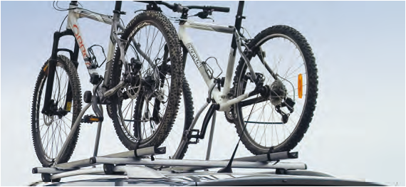 Bacas 4x4, baca africana, baca reforzada, baca a medida